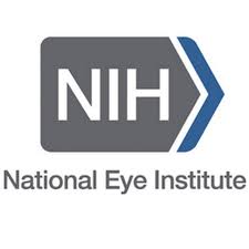 May Is Healthy Vision Month - Discovery Eye Foundation