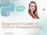 Learn Python From Scratch In 2025 A Beginner Friendly Roadmap With