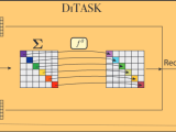 Ditask Multi Task Fine Tuning With Diffeomorphic Transformations