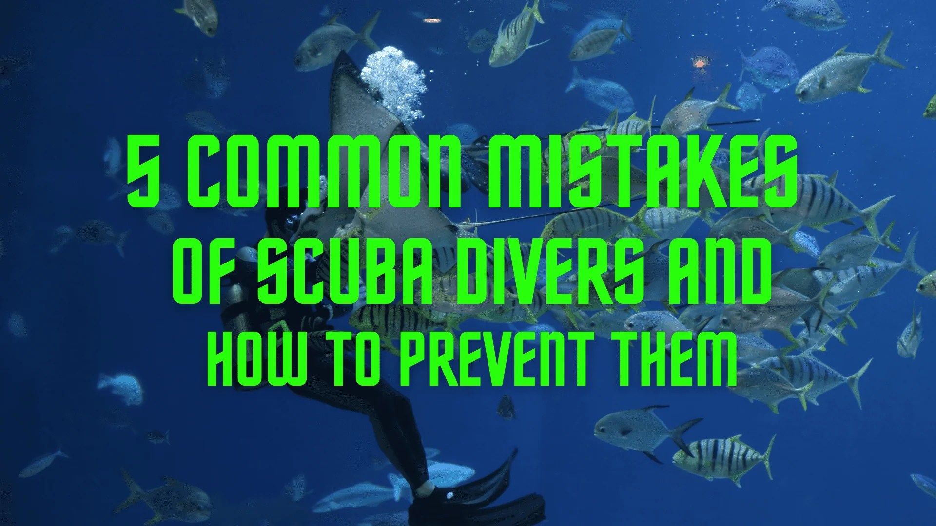 5 Common Mistakes And How To Prevent Them Of Certified Scuba Divers