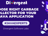 Choosing The Right Garbage Collector For Your Java Application Divergent
