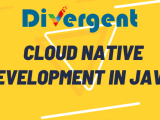 Exploring The Power Of Cloud Native Development In Java Divergent