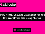 Minify Html Css Javascript In Divi Using Plugins