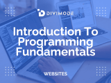 Introduction To Programming Fundamentals Divimode