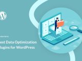Best Database Optimization Plugins Divi Unleashed