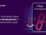 Dapp Development Cost Breakdown What To Expect In 2025