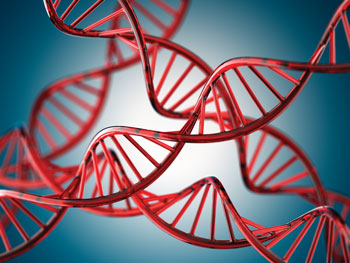 Case Closed: DNA too Unstable to Support 65 Million Year Old T Rex Red ...