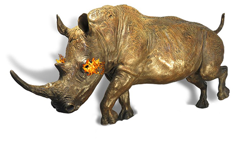 5e rhinoceros - loversvica