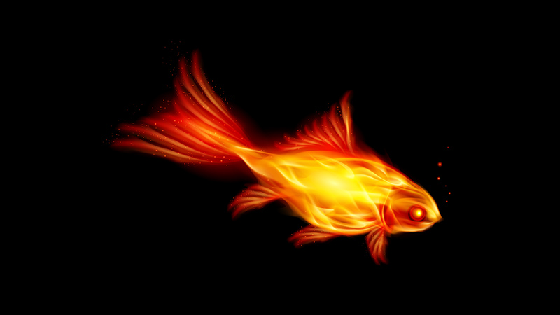 fire-fish – DMDave Publishing