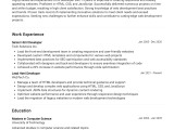 14 React Js Developer Resume Examples For 2025 Tips Templates