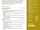 14 React Js Developer Resume Examples For 2025 Tips Templates