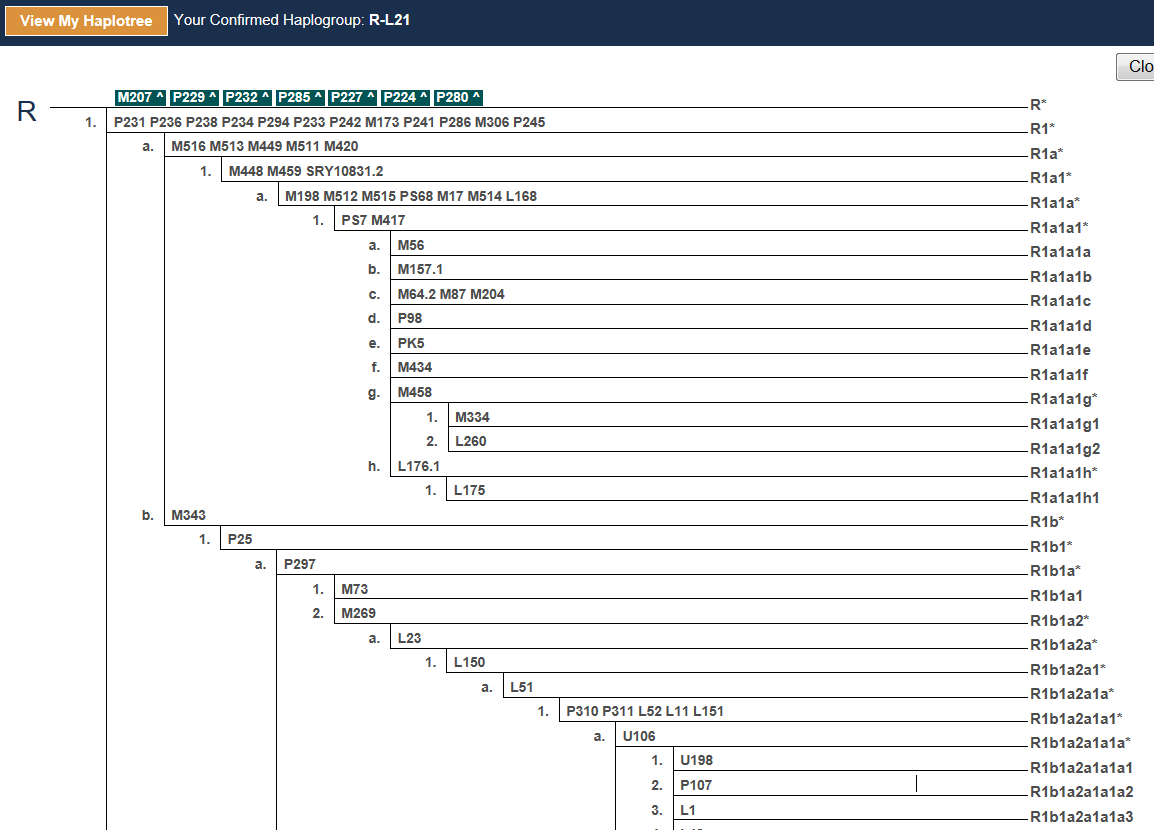 New Y DNA Haplogroup Naming Convention | DNAeXplained – Genetic Genealogy