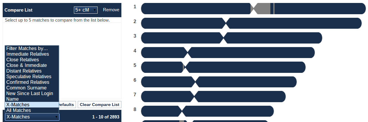 X-Chromosome Matching at Family Tree DNA | DNAeXplained – Genetic Genealogy