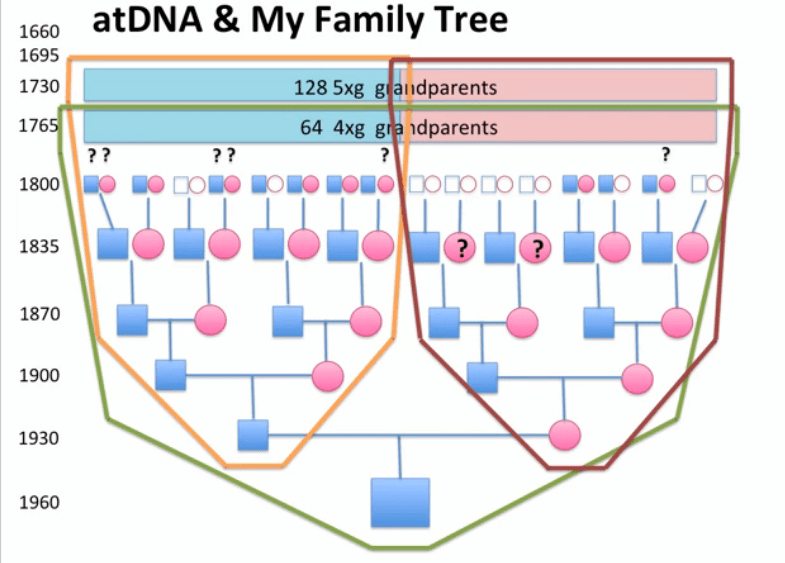 Challenges With Irish Autosomal DNA Genealogy Research DNAeXplained Genetic Genealogy challenges-with-irish-autosomal-dna-genealogy-research-dnaexplained-genetic-genealogy