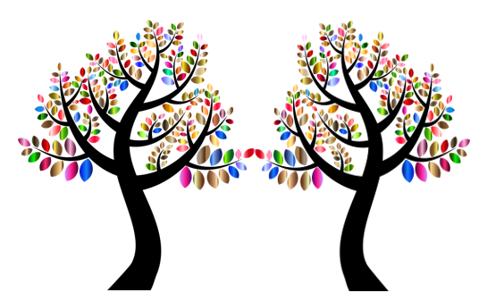 Concepts – Mirror Trees | DNAeXplained – Genetic Genealogy