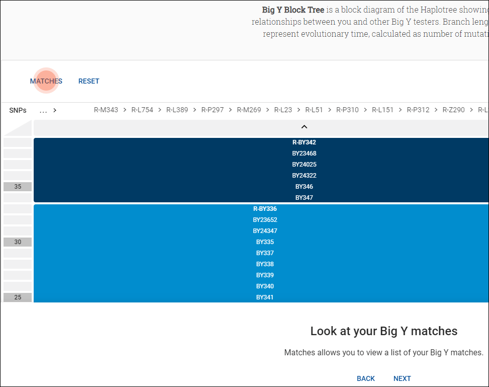Family Tree DNA’s New Big Y Block Tree | DNAeXplained – Genetic Genealogy