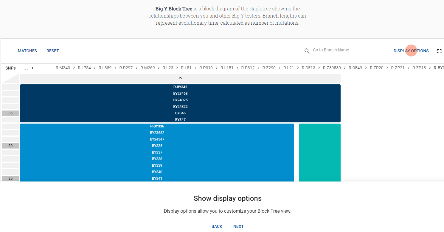 Family Tree DNA’s New Big Y Block Tree | DNAeXplained – Genetic Genealogy