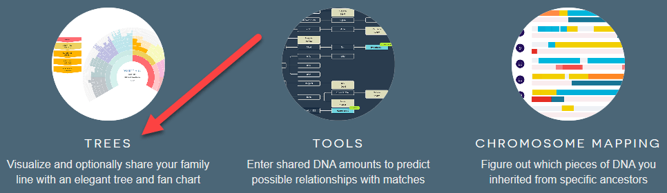 DNAPainter: Ancestral Trees | DNAeXplained – Genetic Genealogy