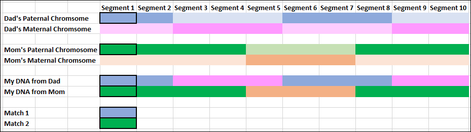 Concepts: Inheritance | DNAeXplained – Genetic Genealogy