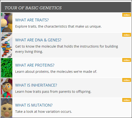 RootsTech 2021 Day 4: Connect Our Souls | DNAeXplained – Genetic Genealogy