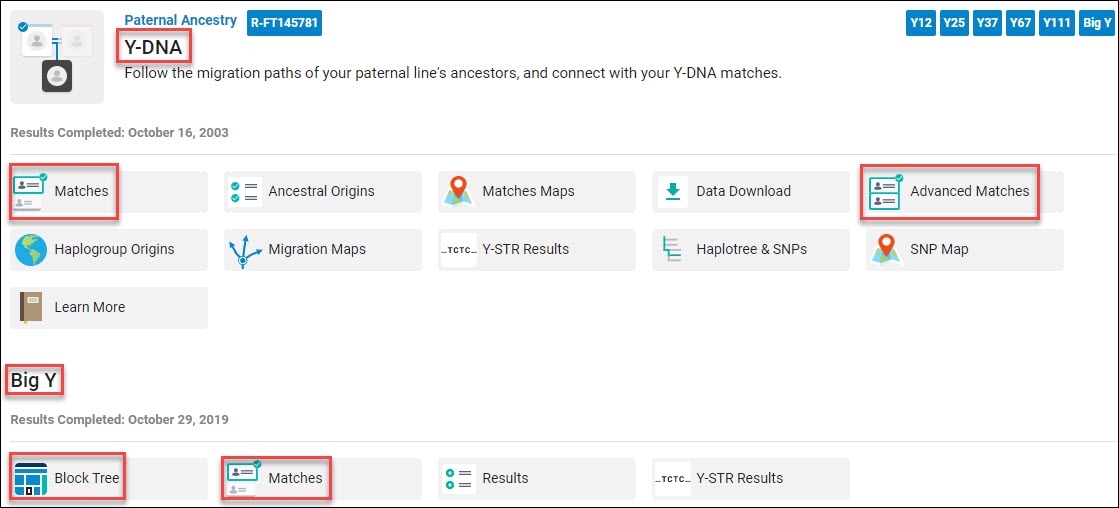 How Many Men Discover or Confirm Their Surname with Y DNA Testing ...