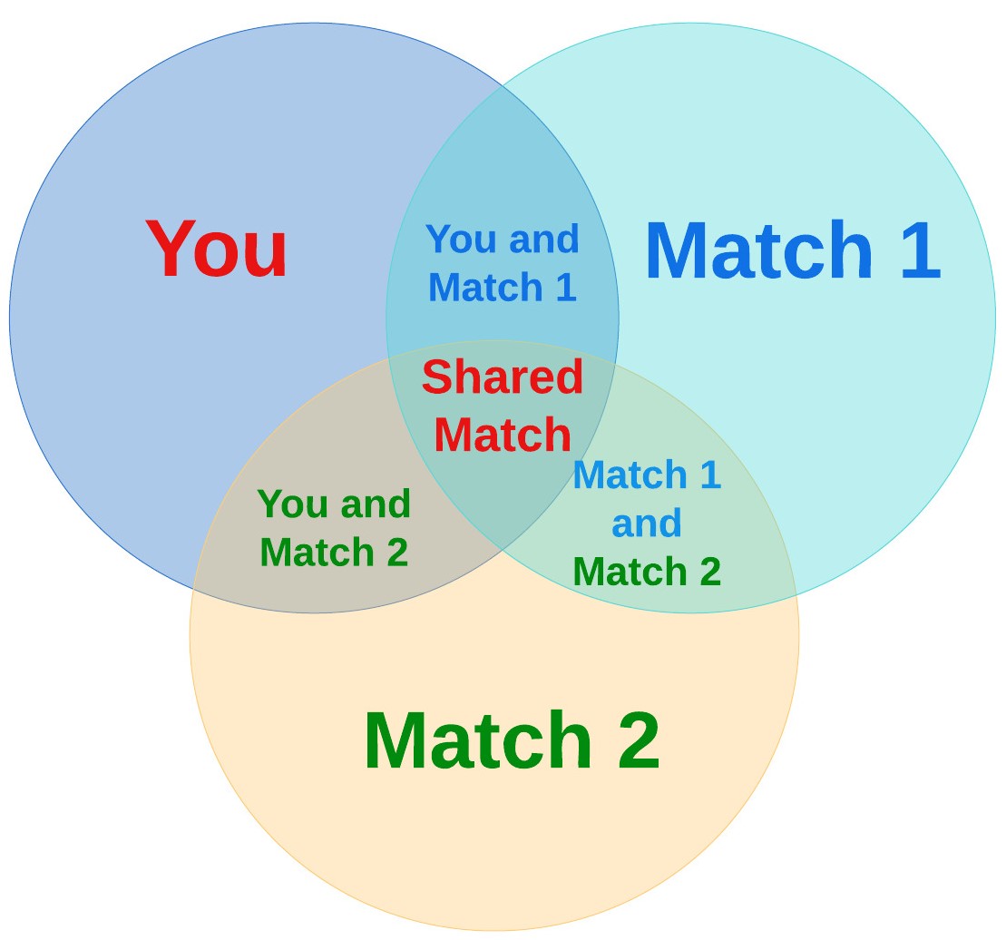 Ancestry Only Shows Shared Matches of 20 cM and Greater – What That ...