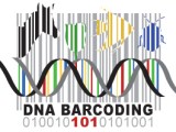 Dna Learning Center Barcoding 101