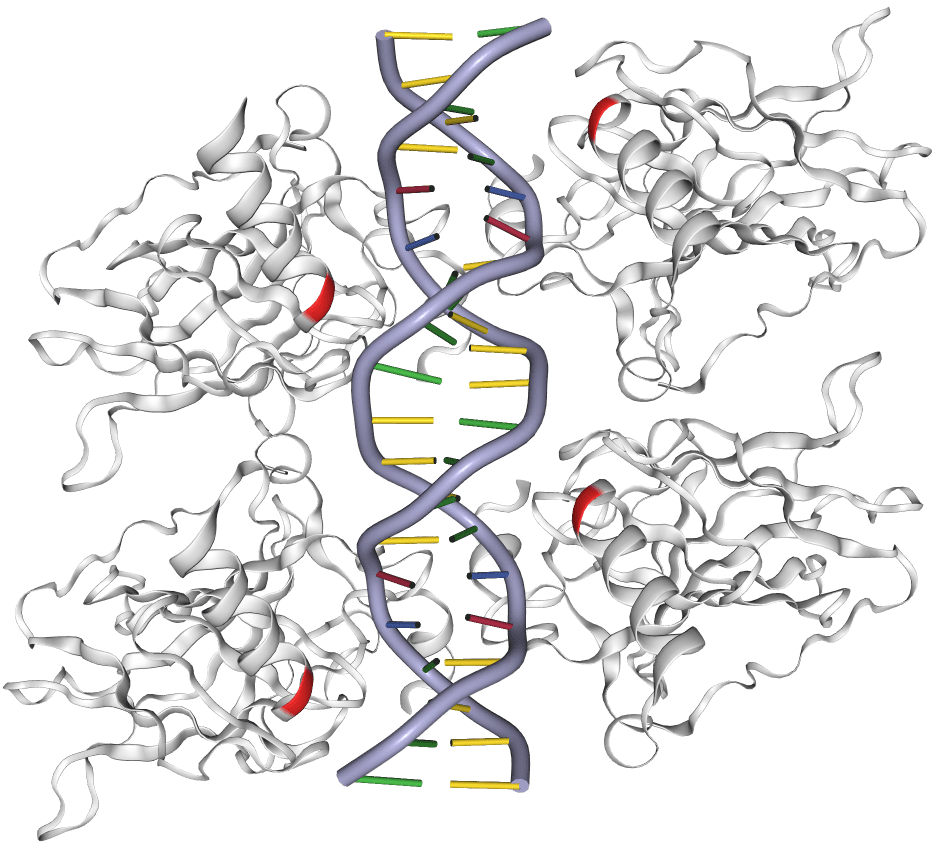 Dnaprodb A Database And Web Tool For Structural Analysis Of Dna