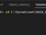 Install Using Vs Code Dynamicweb 10 Developer Documentation