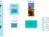 Training A Create Ml Model To Classify Flowers Apple Developer