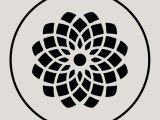 What Is Askthecode