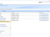Previewing Document Documentation