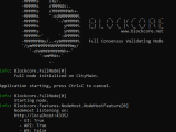 Walkthrough Blockcore Documentation