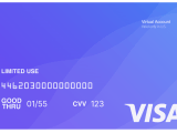 Virtual Card Checkbook Docs