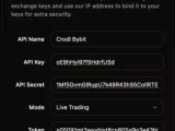 Bybit Api Connection