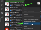 How To Install Java Extension In Visual Studio Code Printable Forms