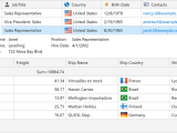 Master Detail Data Representation Wpf Controls Devexpress Documentation