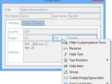 Default Runtime Customization Winforms Controls Devexpress