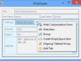 Default Runtime Customization Winforms Controls Devexpress