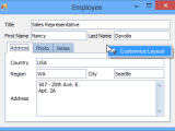 Default Runtime Customization Winforms Controls Devexpress