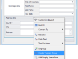 Layout Control Winforms Controls Devexpress Documentation