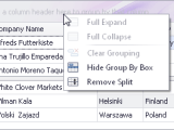 Gridsplitcontainer Hidesplitview Method Winforms Controls