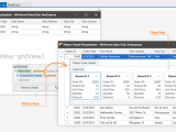 Master Detail Relationships Winforms Controls Devexpress Documentation