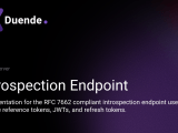 Introspection Endpoint Duende Software Docs