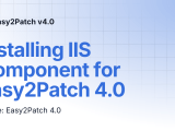 Installing Iis Component For Easy2patch 4 0 Easy2patch V4 0