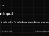 Date Input