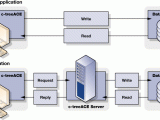 Client Server Database Model