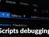 Scripts Debugging Flax Documentation