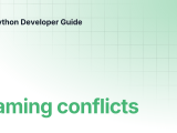 Naming Conflicts Python Developer Guide