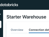 Databricks Zing Data Documentation
